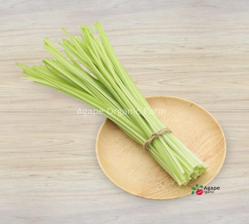 Green Dragon Sprout - AGAPE ORGANIC