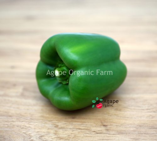 Capsicum Green - AGAPE ORGANIC